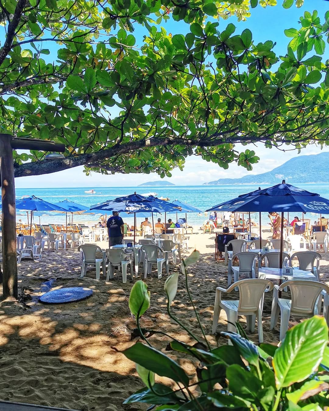Salinas Bar e Restaurante em ilhabela - ilhabela.plus